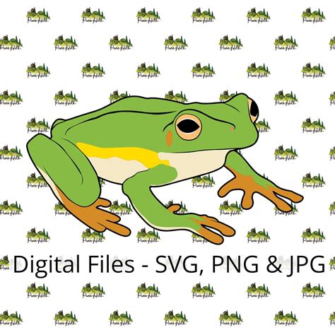 Green Tree Frog SVG Tree Frog Clipart Realistic Tree Frog