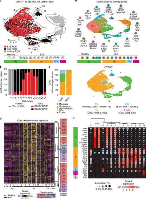 Single Cell Oxidative Stress Transcriptome Of Cns Innate Immunity A