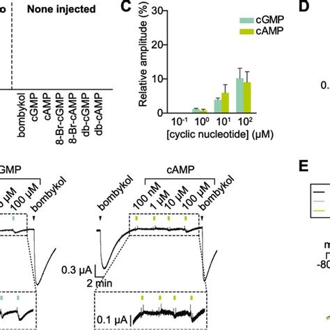 A Structural Formulae Of Reagents Examined In This Assay B Summary