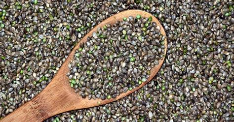 International Hemp Sector Seeks Science Based Animal Feed Regulations