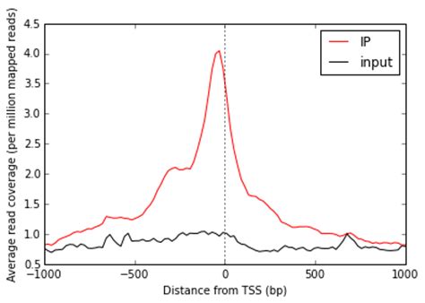 Example 1 Average ChIP Seq Signal Over Promoters Metaseq 0 5 5 4 Documentation