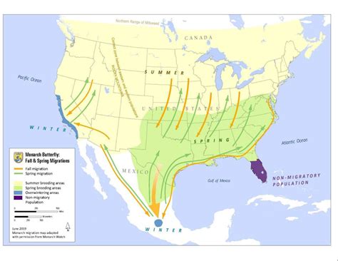 Monarch Butterfly Migration Map 2022