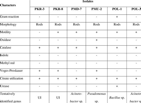 Characterization Of Phosphate Solubilizing Bacteria Isolates Download Table