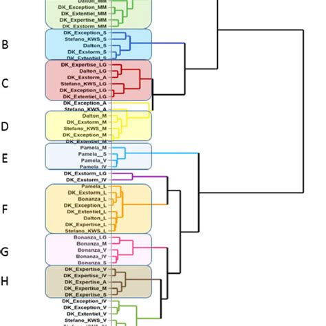 Hierarchical Ascendant Classification Hac Calculated From The 12