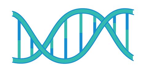 The Role Of Plasmid Sequencing In Gene Therapy Anemocyte