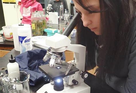 A Short Lesson On The Microscope Parts And Function