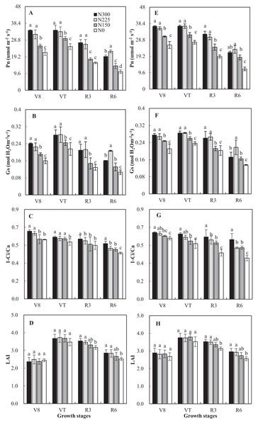 Nitrogen Fertilization Affects Maize Grain Yield Through Regulating Nitrogen Uptake Radiation