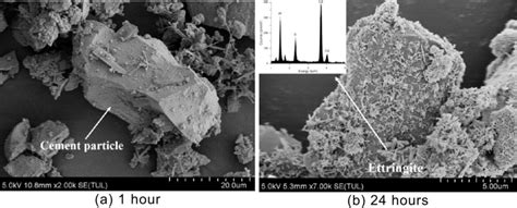 Sem Eds Results For The Reference Group Download Scientific Diagram