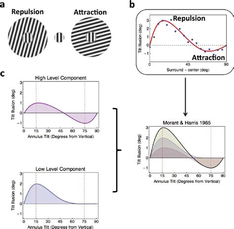 Tilt Illusion And Linear Summation Model A Tilt Illusion Although