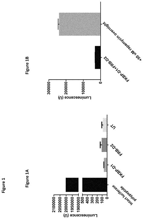 Assays Using Arrestin Recruitment And Unmodified Receptors Eureka Patsnap
