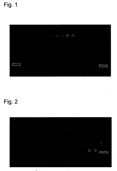 Polyethylene Glycolpolycation Block Copolymers Eureka Patsnap