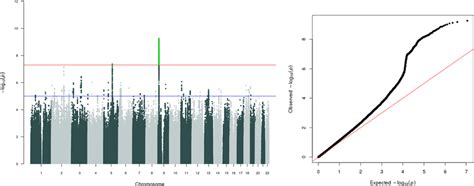 Manhattan And Q Q Plots Of P Values Of Single Nucleotide Polymorphism