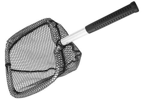 Keep Shrimp Alive With These Five Simple Steps Louisiana Fishing Blog