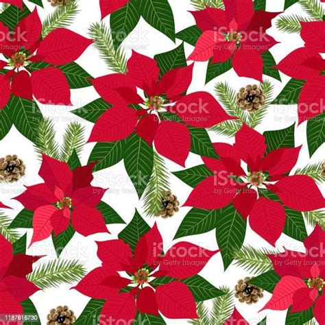 Poinsettia 식물 배경 겨울 패턴 포장지 패턴 채우기 겨울 인사말 웹 페이지 배경 크리스마스와 새해 인사말 카드와