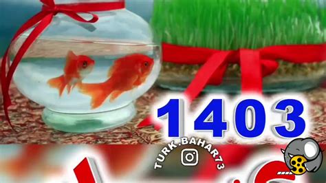 کلیپ زیبا تبریک عید نوروز 1403کلیپ زیبا کودکانه فیلو