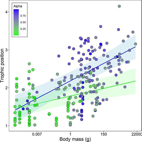 Relationship Between Body Mass Log Scale And Trophic Position Tp
