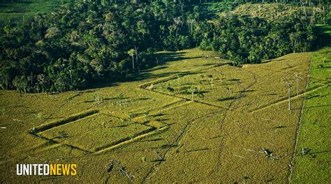 Amazonewoud Onthult 10 000 Sporen Van Vroegere Beschavingen United News