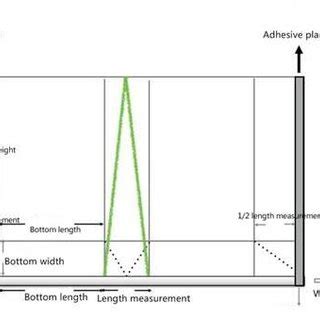 Product Structure Diagram Front Download Scientific Diagram