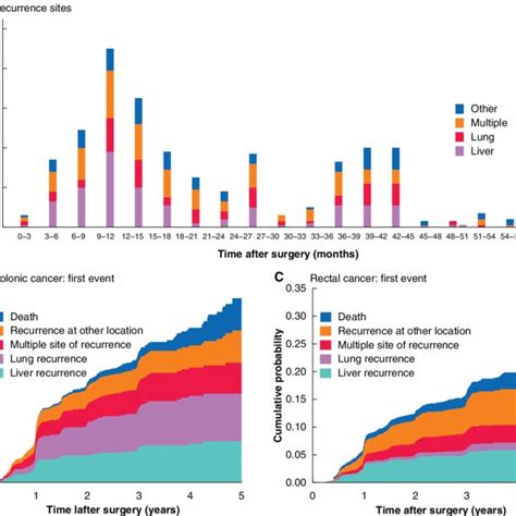 Borrmann Classification Of Colorectal Cancer A A Case Of Bormann