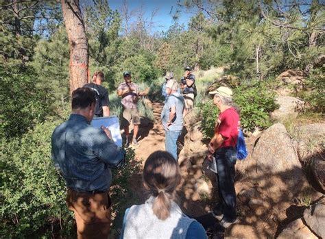 Stratton Fire Mitigation Work Continues