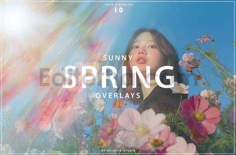 دانلود اورلی‌های دیجیتال با جلوه‌ های نور خورشید بهاری Sunny Spring