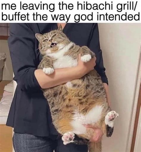 Hell Ya Meme By Audilover23 Memedroid