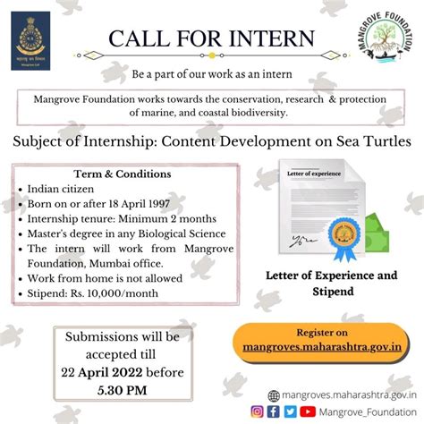 Sailee Joshi Gupte On Linkedin Hiring Intern Seaturtles