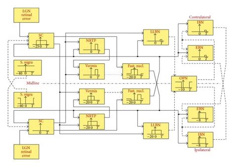 A Functional Block Diagram Of The Saccade Generator Model 3 Solid Download Scientific