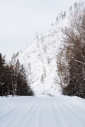 눈 덮인 숲 속의 믿을 수 없을 정도로 숨막히는 풍경 숲을 지나 산으로 향하는 황량한 길 키 큰 거대한 나무 겨울의 야생 여행 0명에 대한 스톡 사진 및 기타 이미지