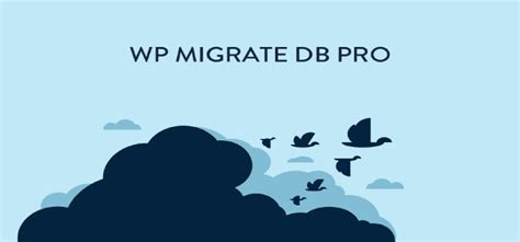 Wp Migrate Db Pro Review Pros And Cons 2023 Is It Worth It