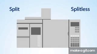 Split Vs Splitless Injection 2 On Make A GIF