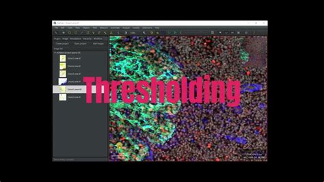 qupath thresholding youtube