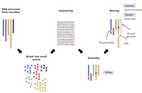 Metagenomics CHTsai