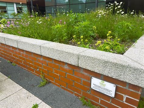 S Warda Ahmed On Linkedin Midkentzero