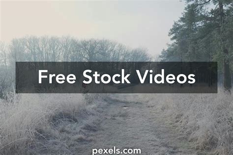 Nakedlightskin Videos Download The Best Free 4k Stock Video Footage
