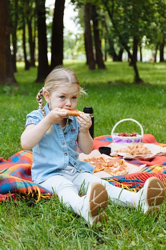 피자를 먹고 녹색 잔디 여름 피크닉의 배경에 야외 웃음 어린 소녀 공원에서 휴식 가족에 대한 스톡 사진 및 기타 이미지 가족 건강한 생활방식 귀여운 Istock