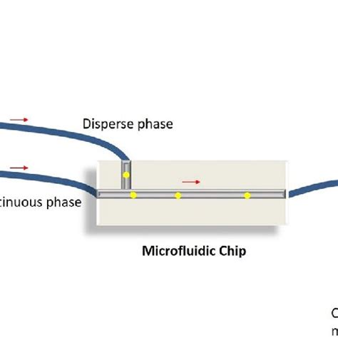 Schematics Diagram Of An Experiment For The Synthesis Of Download Scientific Diagram
