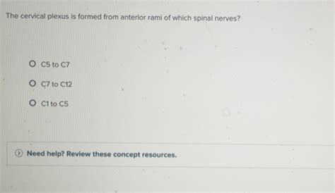 Solved The Cervical Plexus Is Formed From Anterior Rami Of Which