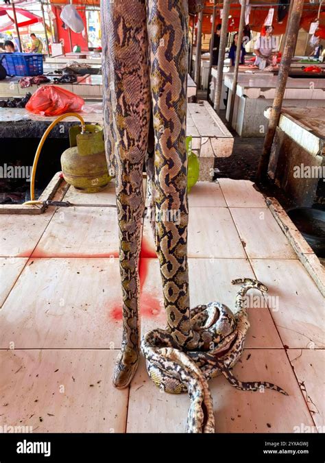 Python Meat Often Called Daging Ular In Traditional Market Tomohon