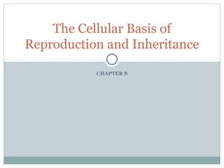 Chapter The Cellular Basis Of Reproductio PPT
