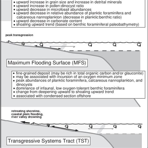 Summary Of Microfossil And Sediment Assemblage Characteristics Of Key