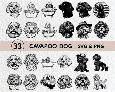 Cavapoo Dog Svg Bundle Cavapoo Dog Silhouette Cavapoo Dog Clipart Png