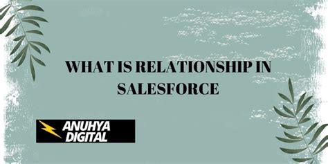 anuhya digital on linkedin what is relationship in salesforce
