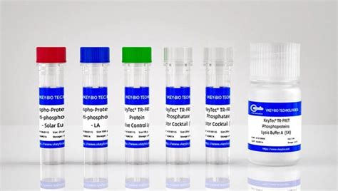 Keytec® Tr Fret Detection Assay Kit Vkey Bio