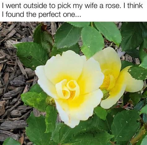 Romantic Iykyk Facebook