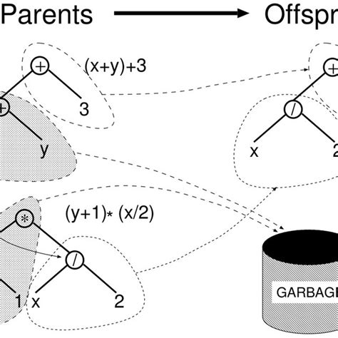 3 A Crossover Example In Tree Based Gp 12 Download Scientific Diagram