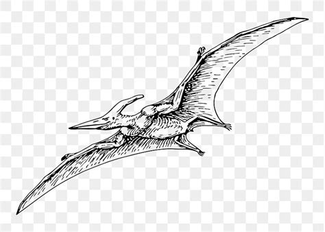 Jurassic Stickers Images Free Photos Png Stickers Wallpapers