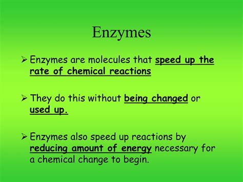 Digestive System Grade 4 Igcse Easy Notes Ppt Ppt Nutrition