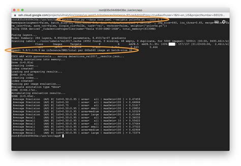 Testing Platform Issue Ultralytics Yolov GitHub