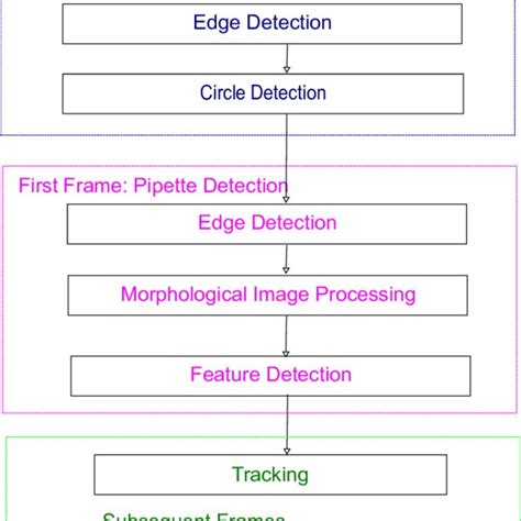 Flowchart Of The Algorithm For Tracking Of The Blastomere During Download Scientific Diagram